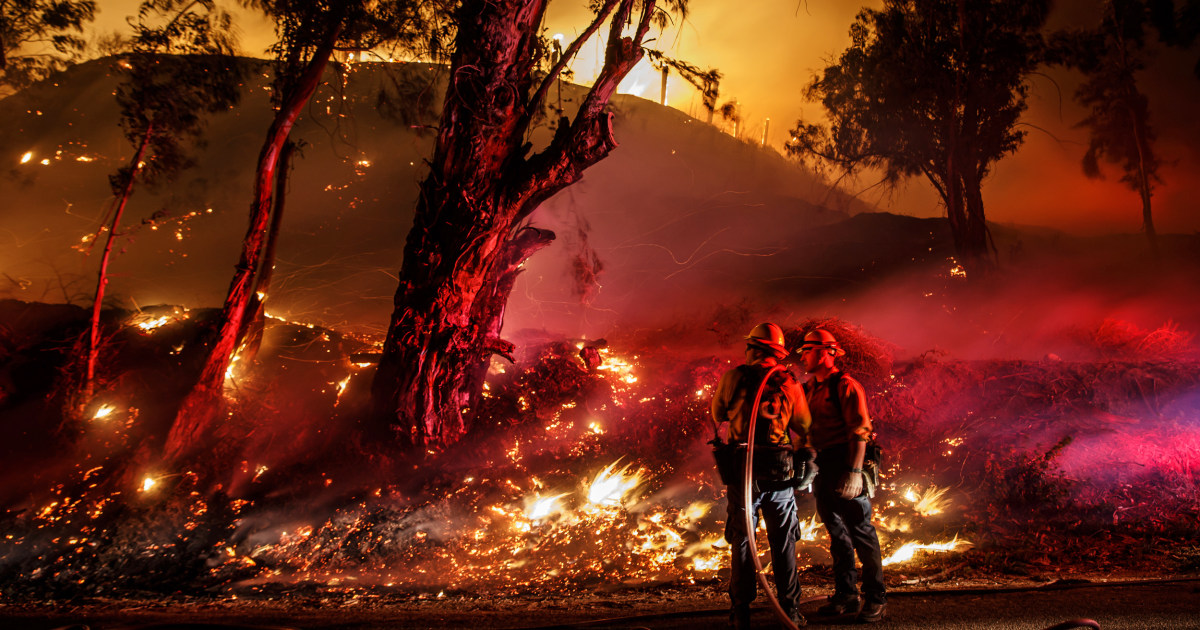 Fast-moving Maria fire in rural Southern California threatens avocado ...