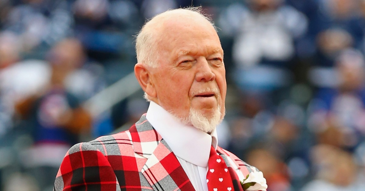 Hockey commentator Don Cherry fired for calling immigrants 'you people ...