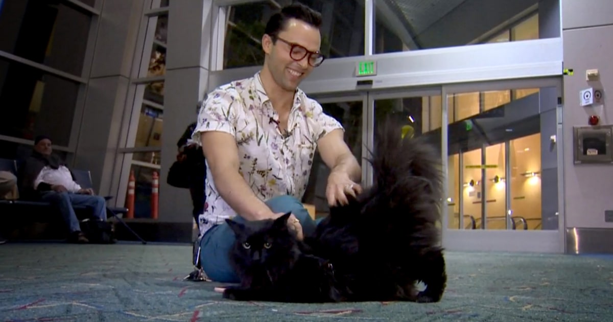 His cat went missing 5 years ago in Oregon. He was found in New Mexico.