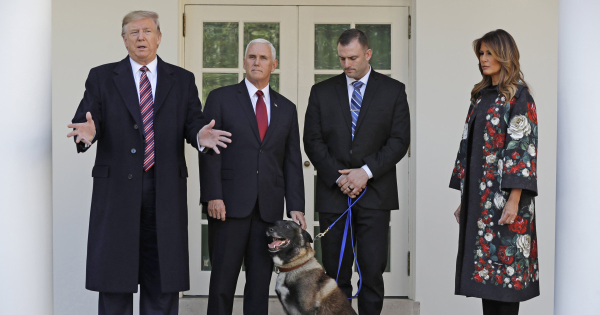 Trump welcomes hero dog at the White House: 'Conan is a tough cookie'