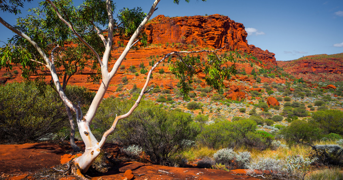 Two rescued after spending weeks lost in Australian outback