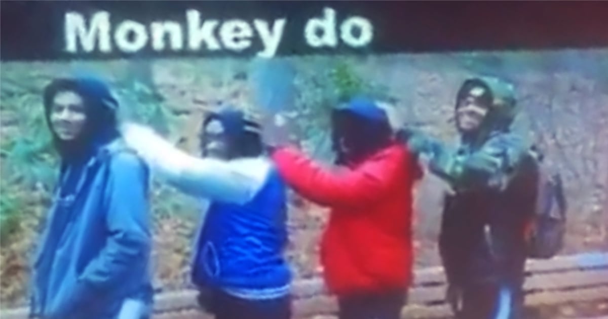 Black students in New York compared to monkeys in class photo by ...