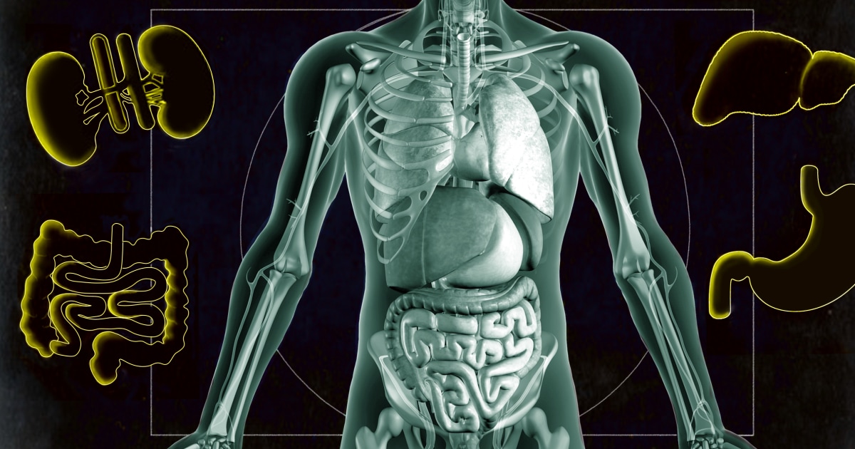 There are at least 4 different ways of aging, scientists say