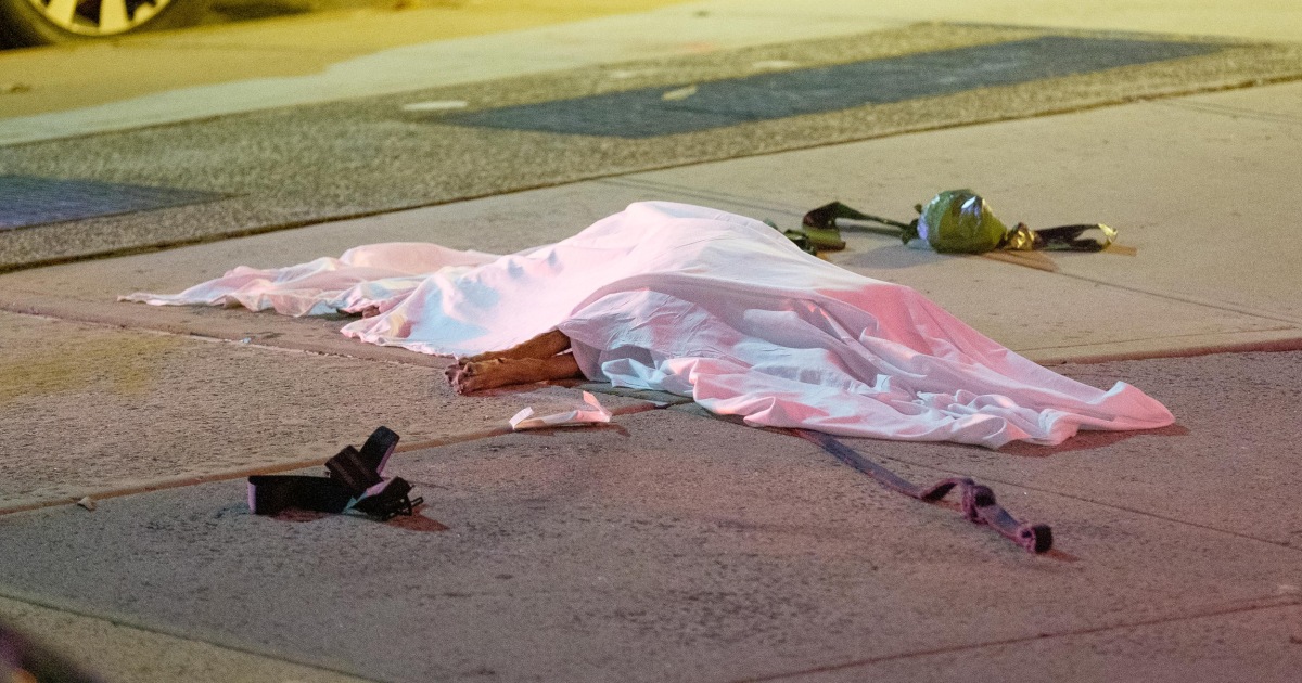 Off-duty U.S. Secret Service agent fatally shoots dog in New York