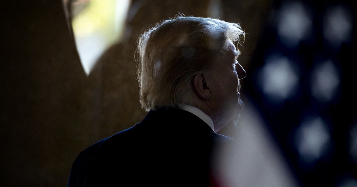 Trump schools the Senate on the exercise of power