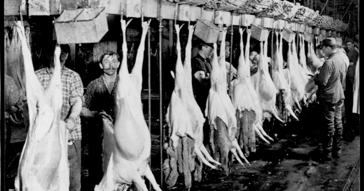 Trump's COVID-19 meatpacking order returns us to 'The Jungle' days just ...