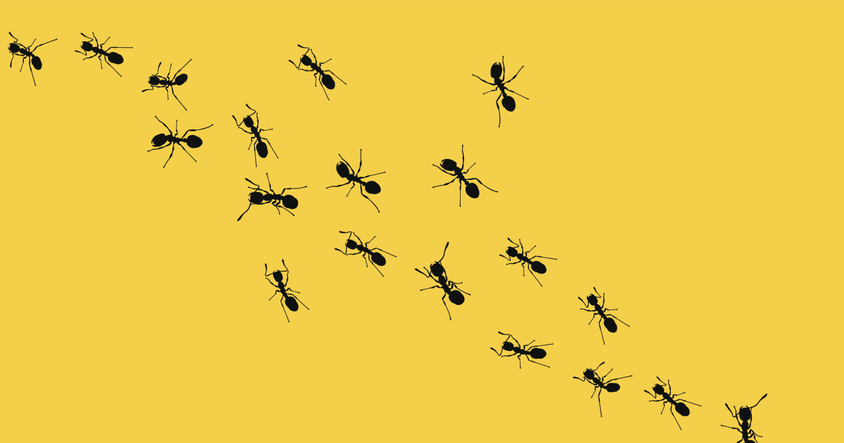 A million people are pretending to be ants on Facebook — and it could ...