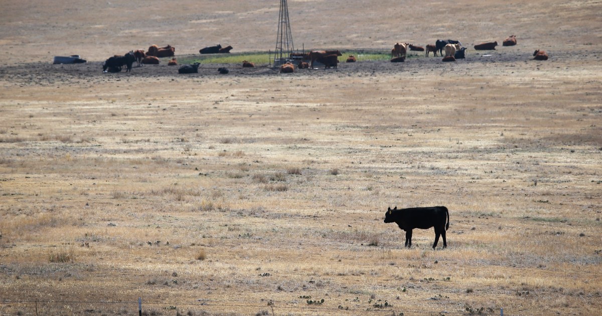 Colorado — the entire state — is in the midst of a widespread drought