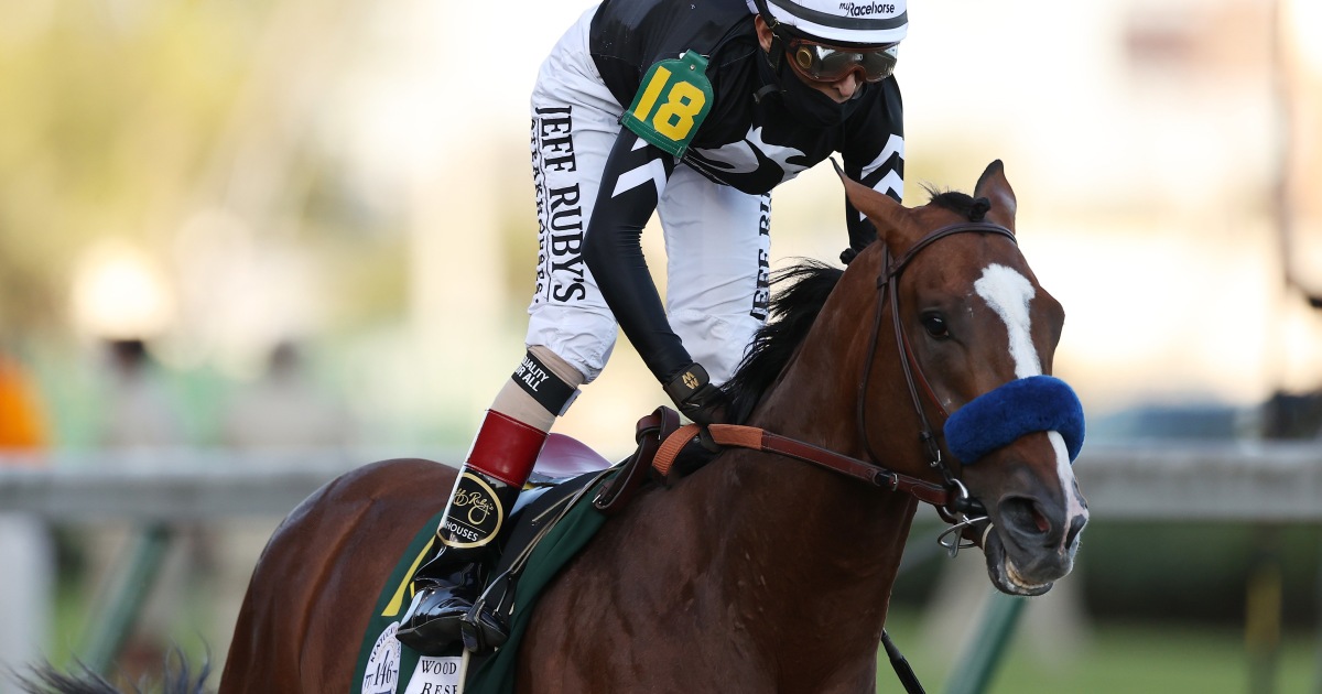 Authentic wins the 146th Kentucky Derby