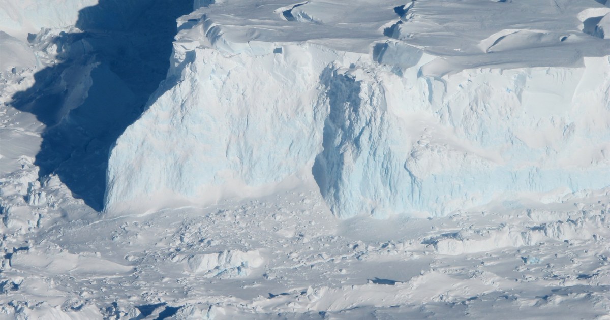 Humans wiping out wildlife at an 'unprecedented' rate, WWF report finds