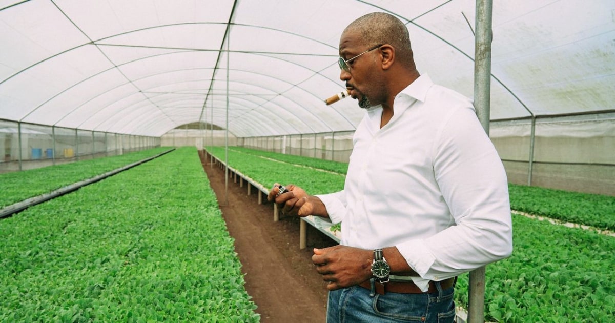 Black cigar smokers find community — and business opportunities — amid ...