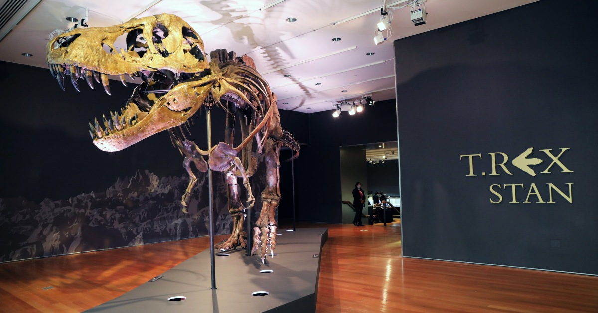 One of largest known T. Rex skeletons sells for record $31.8 million