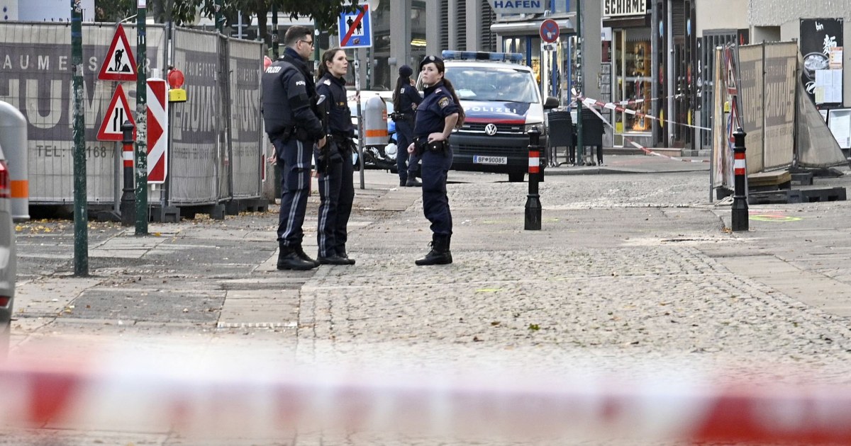 Police arrest 14 people after gunman kills four in Vienna