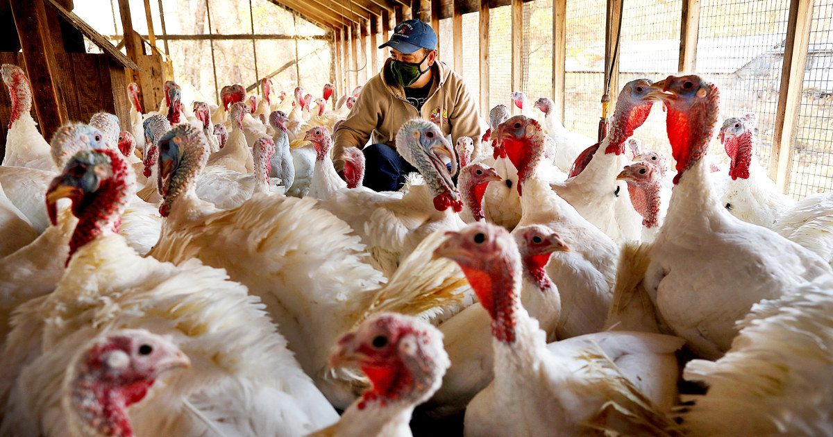 Cost of a Thanksgiving meal is lowest since 2010 — unless you're ...