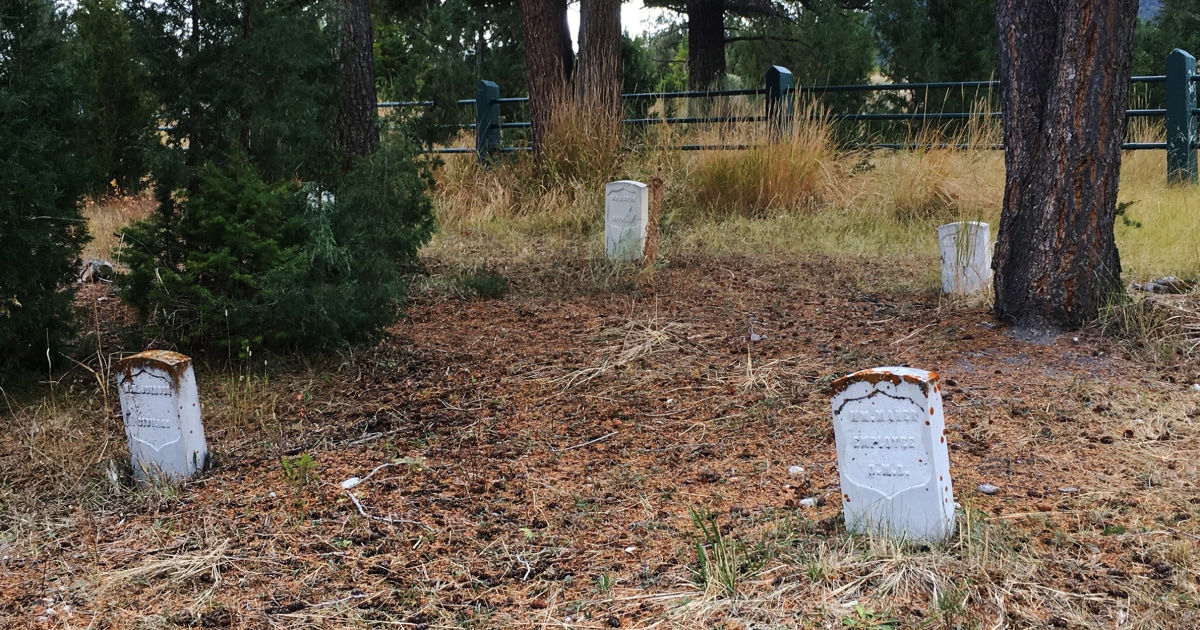 Treasure hunter admits to digging in Yellowstone cemetery while looking ...