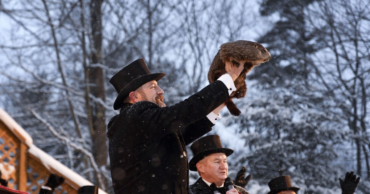 Punxsutawney Phil says there will be 6 more weeks of winter