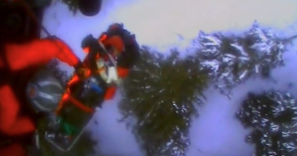 Skier rescued in Alaska backcountry after bear attack