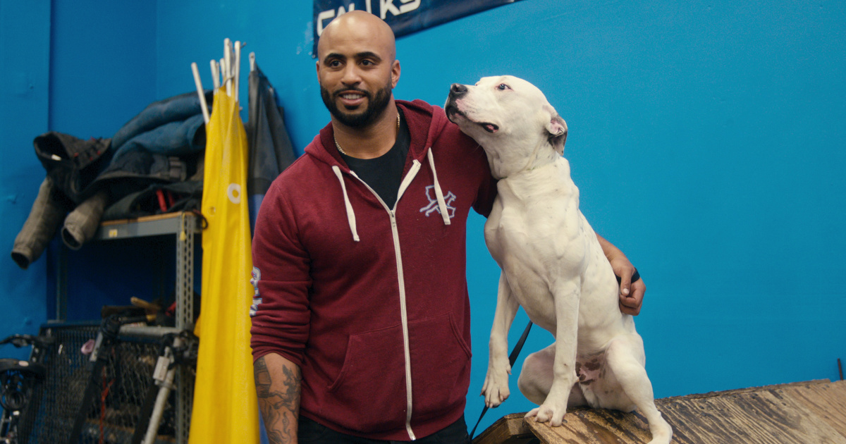 Netflix's 'Canine Intervention' is about humans training dogs — and ...