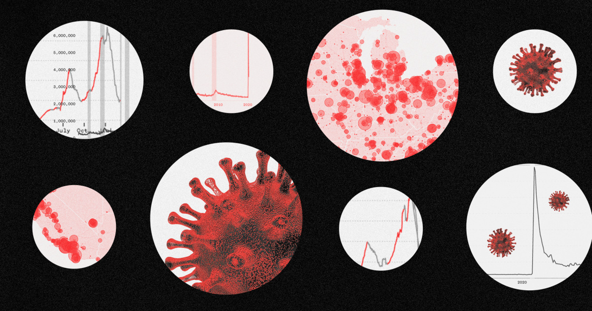 This pandemic year, in five charts