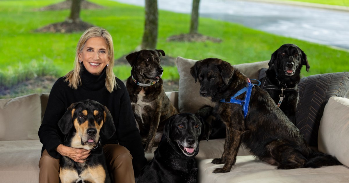 Cathy Bissell found her 'life's calling' in her late 40s – and you can too