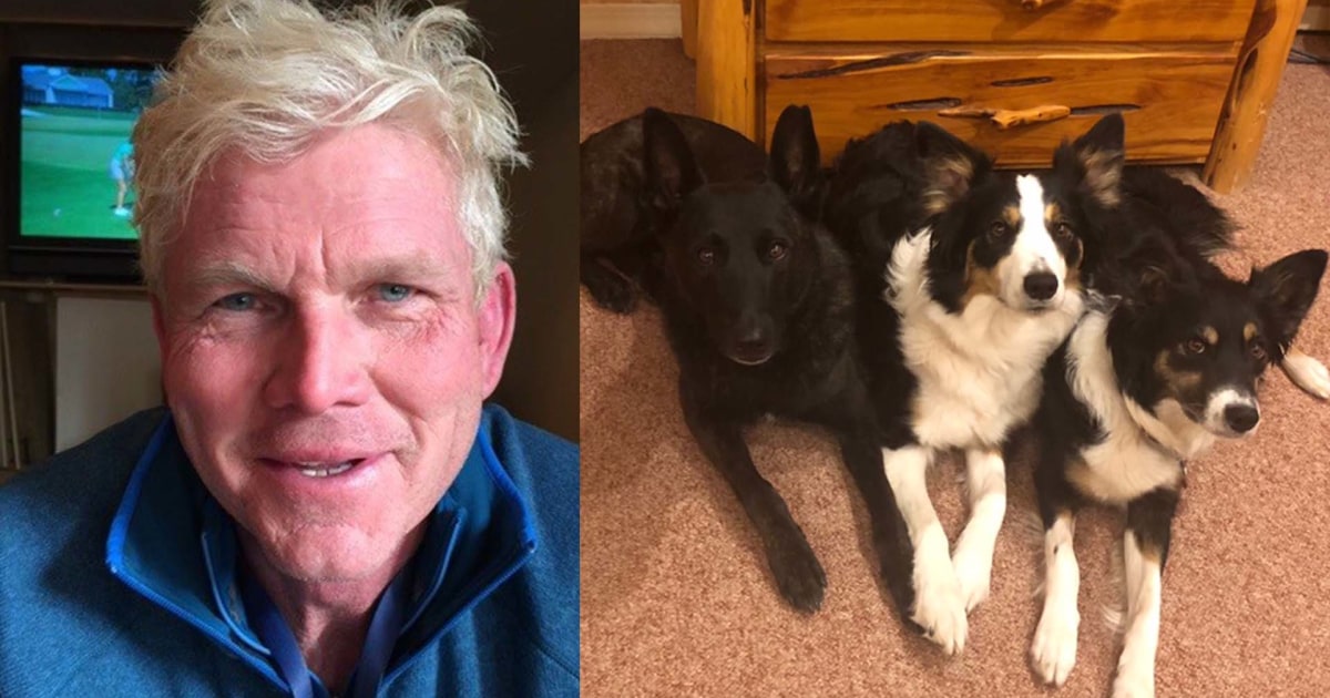 Man with mysterious past facing multiple charges on the run after dognapping in Carlsbad, New Mexico