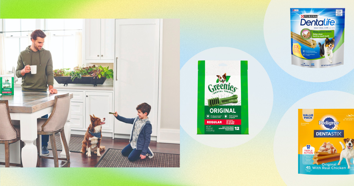 7 best dog dental chews, according to experts