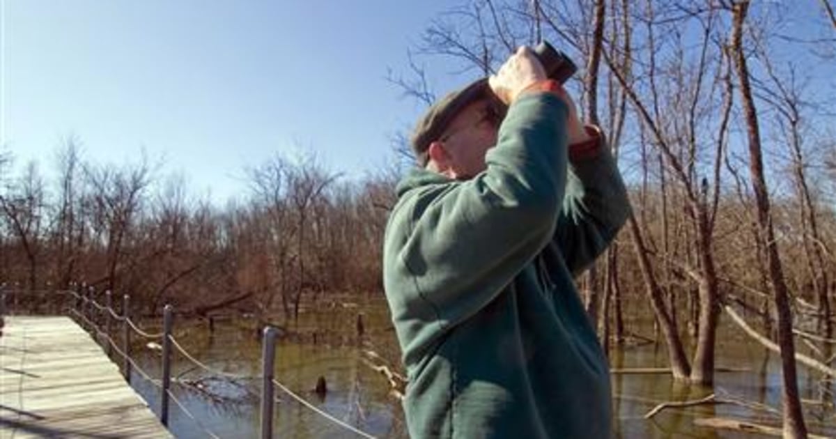 Citizen scientists flock to annual bird count