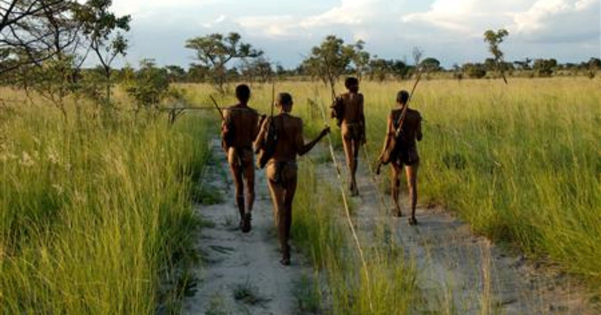 Study shows diversity of African genes