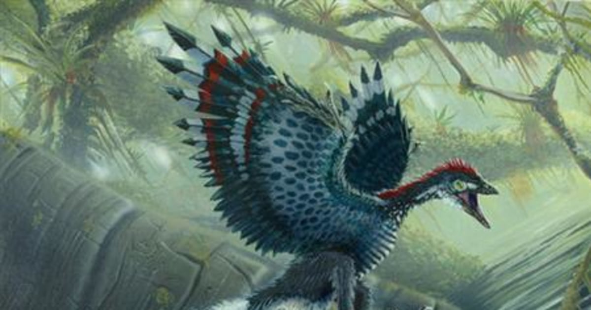 First birds were poor fliers