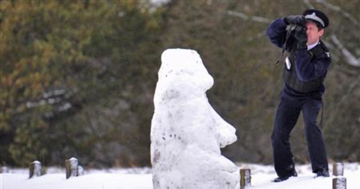 Help, police! Someone stole my snowman