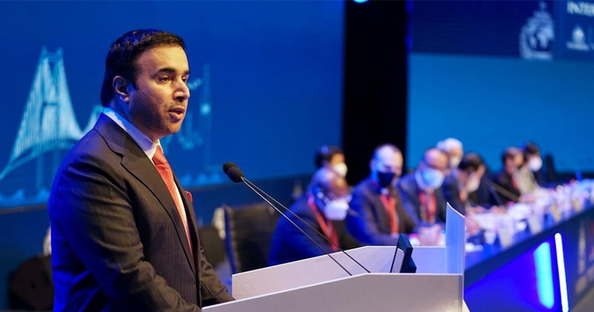 Interpol elects United Arab Emirates official as president despite ...