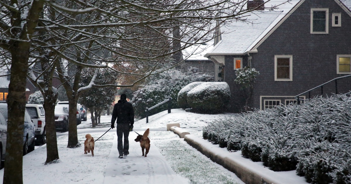 Calculan que tormenta invernal dejará hasta 10 pies de nieve en zonas ...