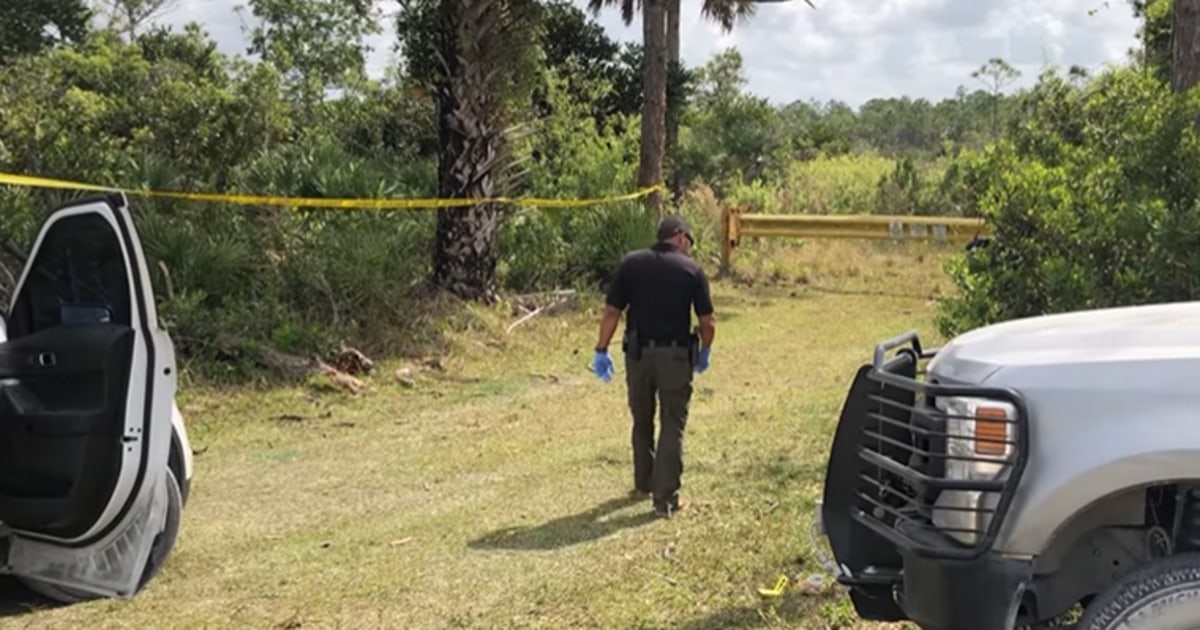 Florida sheriff's office searching 'gator infested waters' after ...