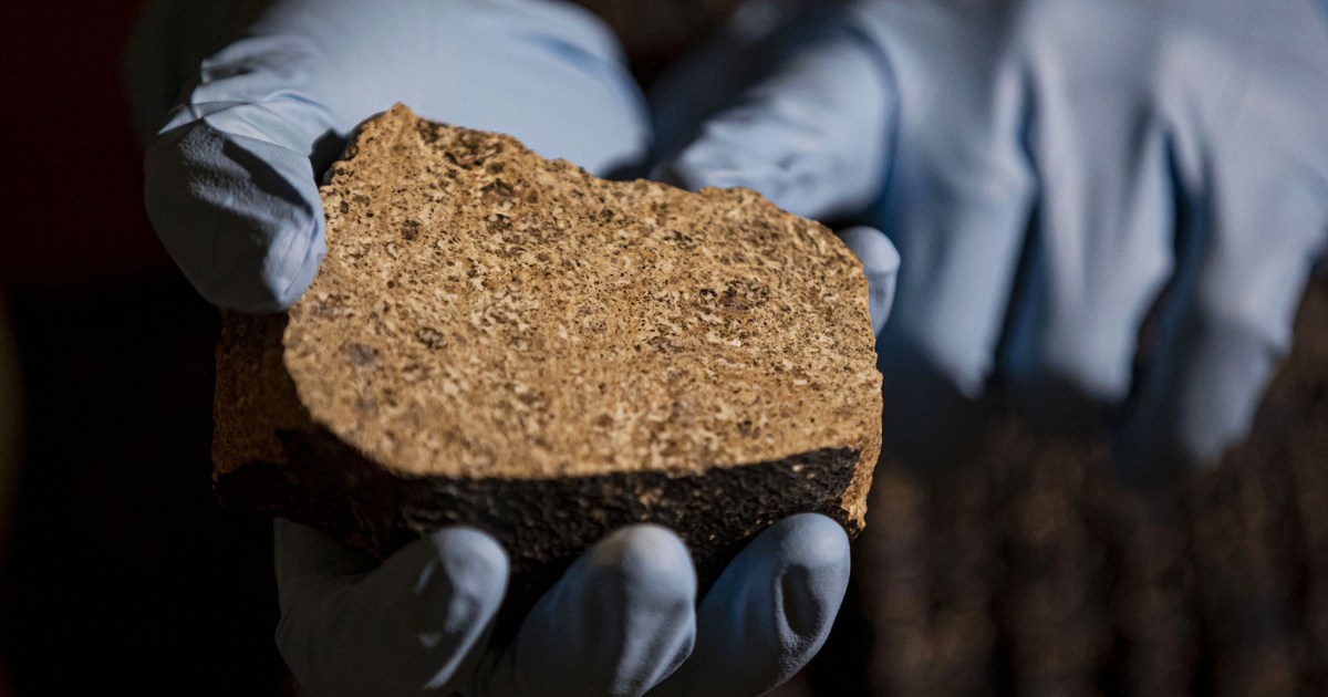 Could key ingredients for life have arrived from space? Scientists say yes