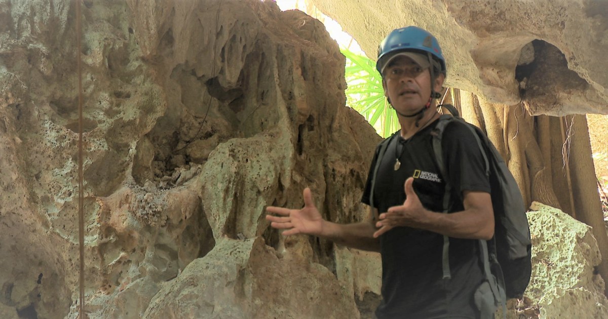 "Se va a degradar toda nuestra selva": ambientalistas y líderes ...