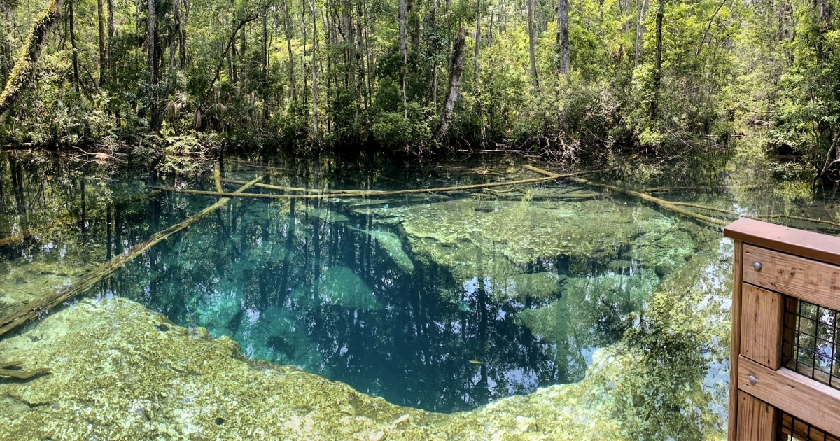 Two men die while cave diving in Florida