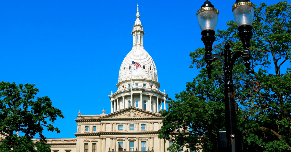 Democratic group plots to flip state legislative seats this cycle