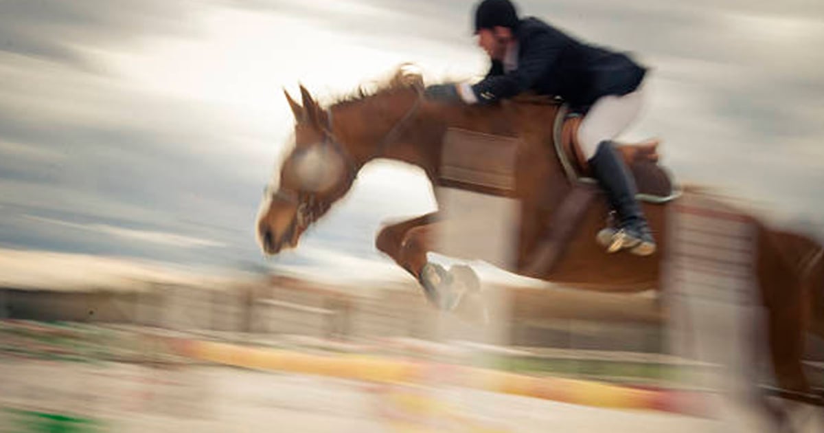 Caballo desbocado embiste espectadores en exhibición de Colombia