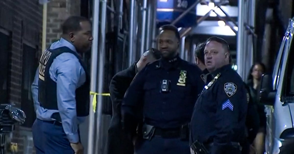 Baby and 3-year-old stabbed to death in Bronx apartment, police say