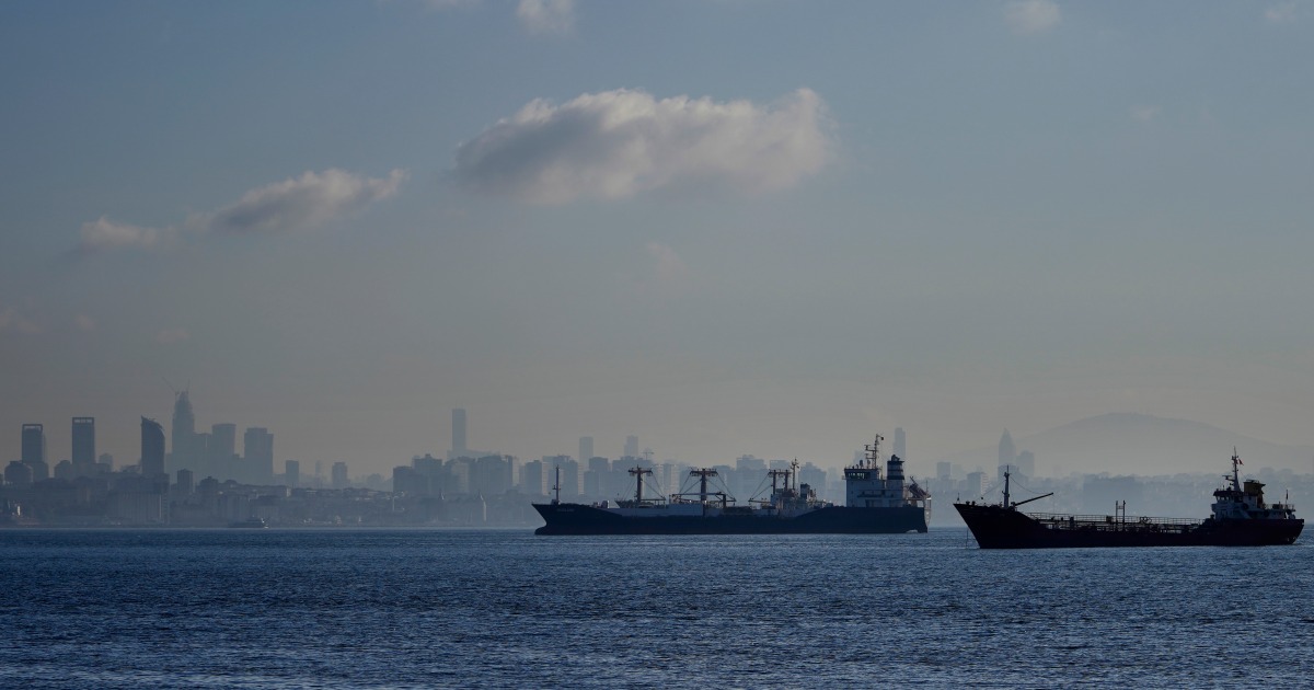 Rusia retoma acuerdo de exportar cereales de Ucrania por mar Negro