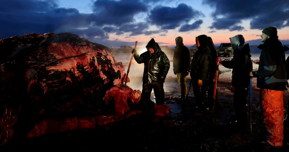 FEMA’s help for Alaska Natives after rare typhoon was littered with ...