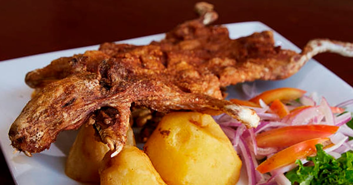 El cuy: El roedor que desata polémica en Colombia por su consumo