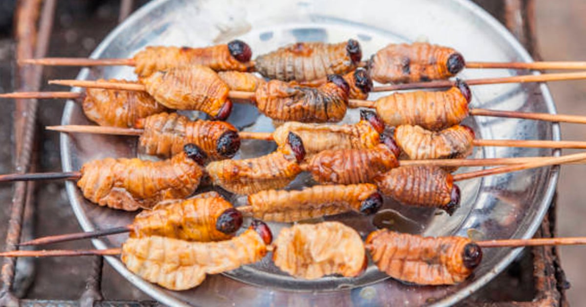 Gastronomía extrema usa insectos en platillos, cócteles y postres
