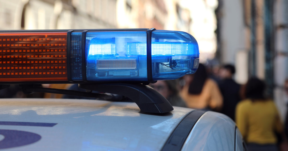 Connor Cato recibe multa 1.4 millones de dólares por exceso de ...