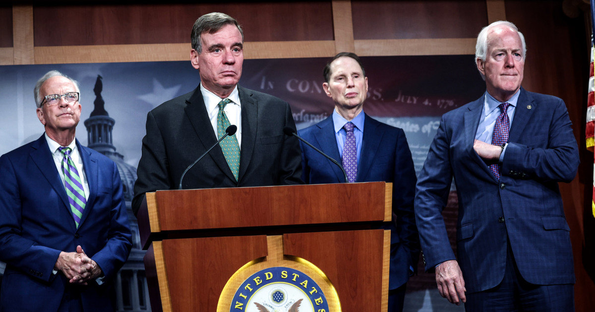 Bipartisan group of senators unveil bills to overhaul ...