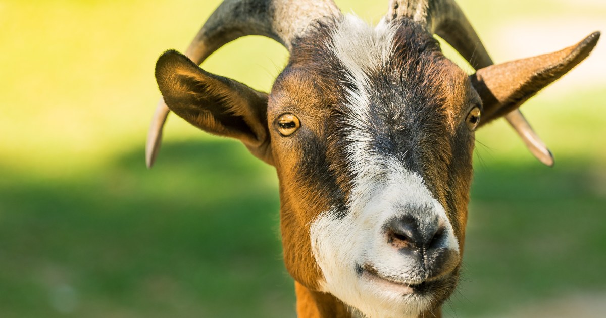 La policía de Oklahoma respondió con premura a un llamado de ‘ayuda ...