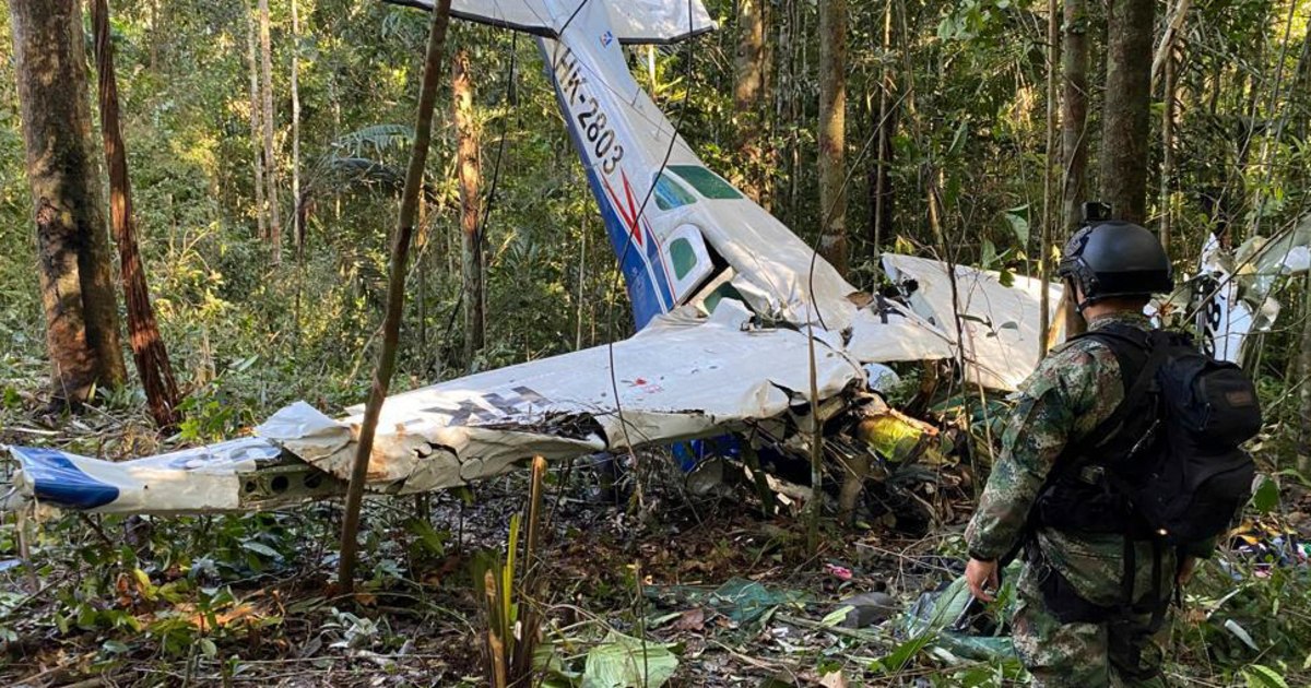 ¿Cómo sobrevivieron cuatro niños a un accidente de avión y a 40 días solos en la selva de Colombia?