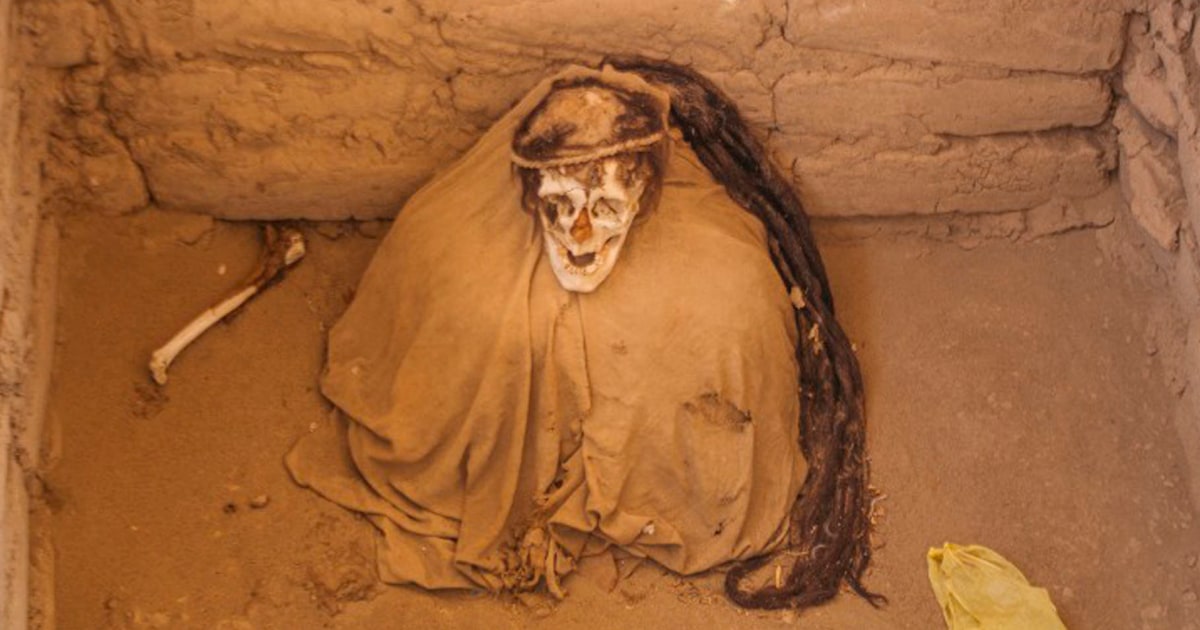 Hallan momia prehispánica entre hojas de coca en campo de fútbol en Perú