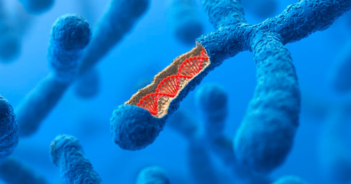 Descifran el cromosoma Y, última pieza del genoma humano completo