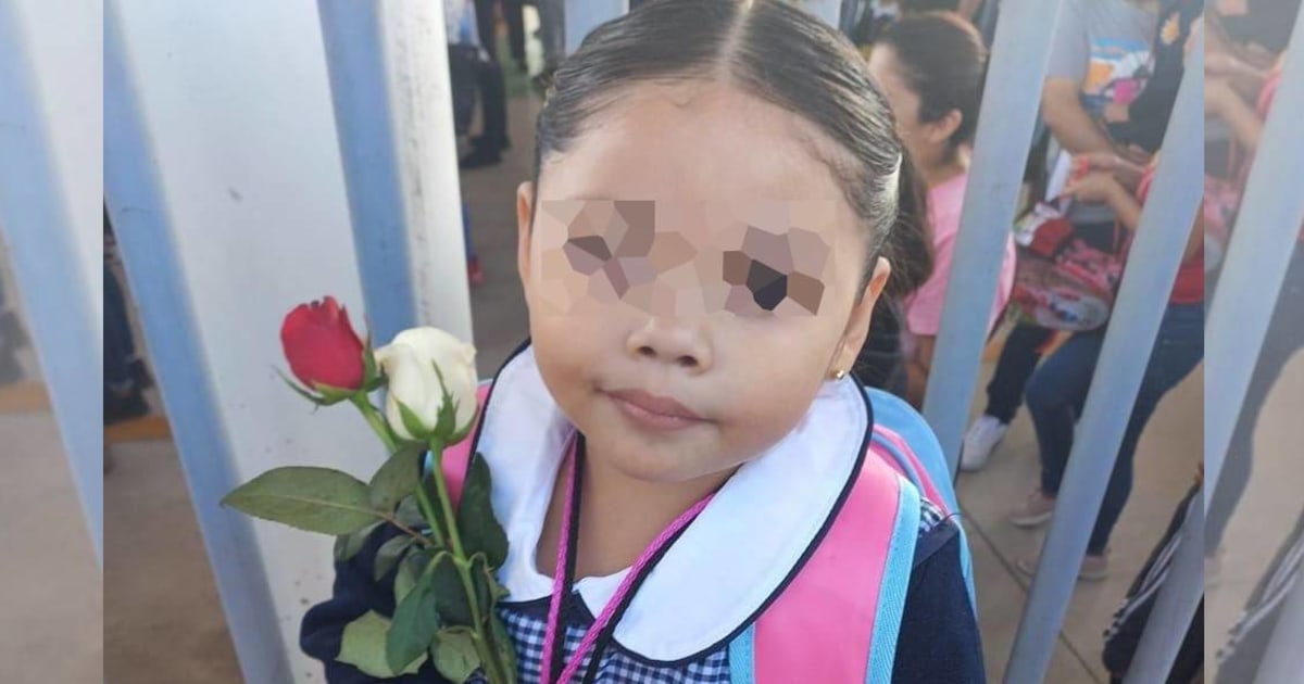 Zoé Alexandra: Muere una niña ahorcada por su ropa cuando jugaba en una ...